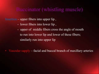 Muscles of facial expressions | PPTX