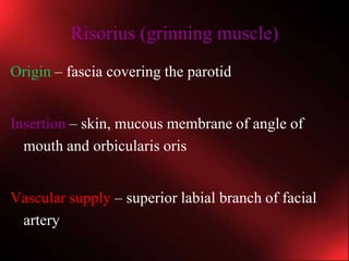 Muscles of facial expressions | PPTX