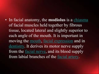 Muscles of facial expressions | PPTX