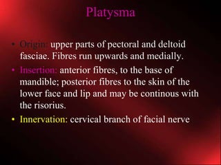 Muscles of facial expressions | PPTX