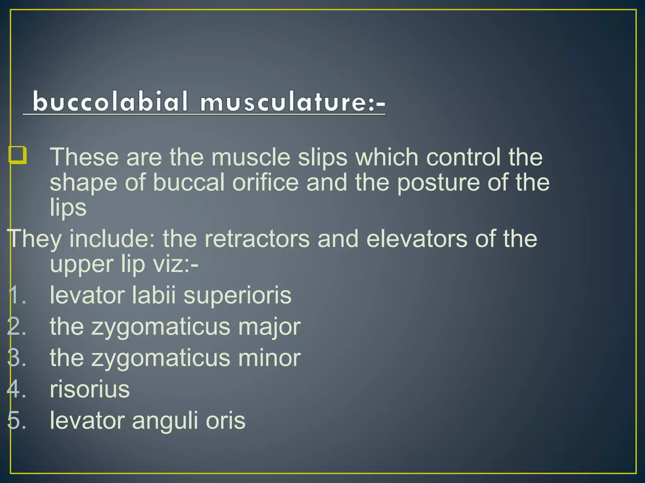 Muscles of facial expressions | PPT