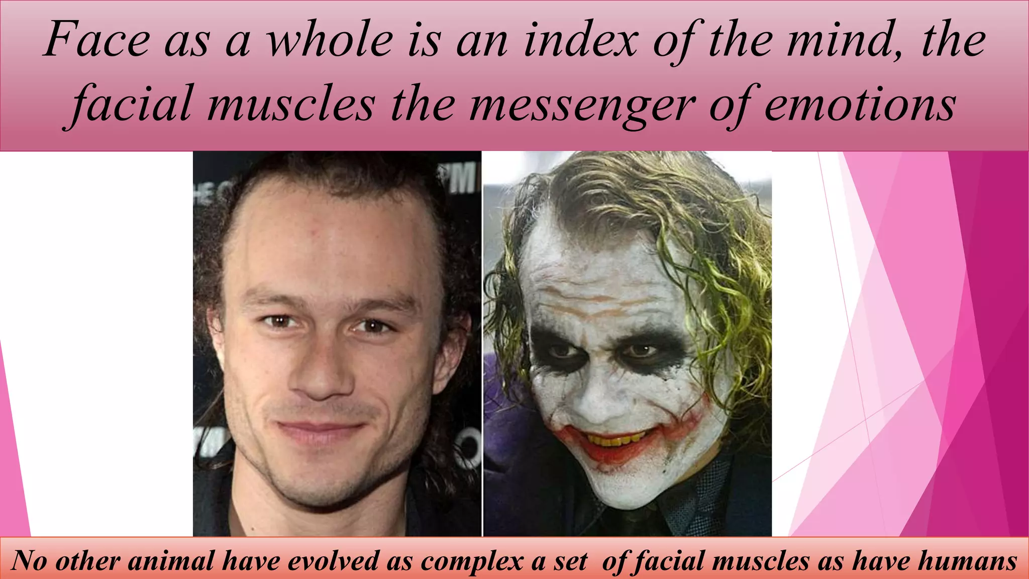 Muscles of facial expressions | PPTX