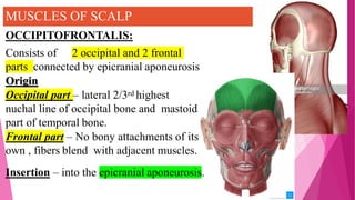 Muscles of facial expressions | PPTX