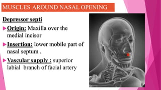 Muscles of facial expressions | PPTX