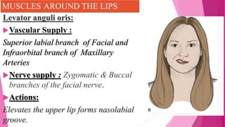 Muscles of facial expressions | PPTX