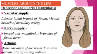 Muscles of facial expressions | PPTX