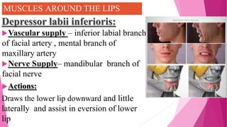 Muscles of facial expressions | PPTX