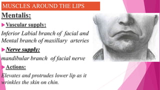 Muscles of facial expressions | PPTX