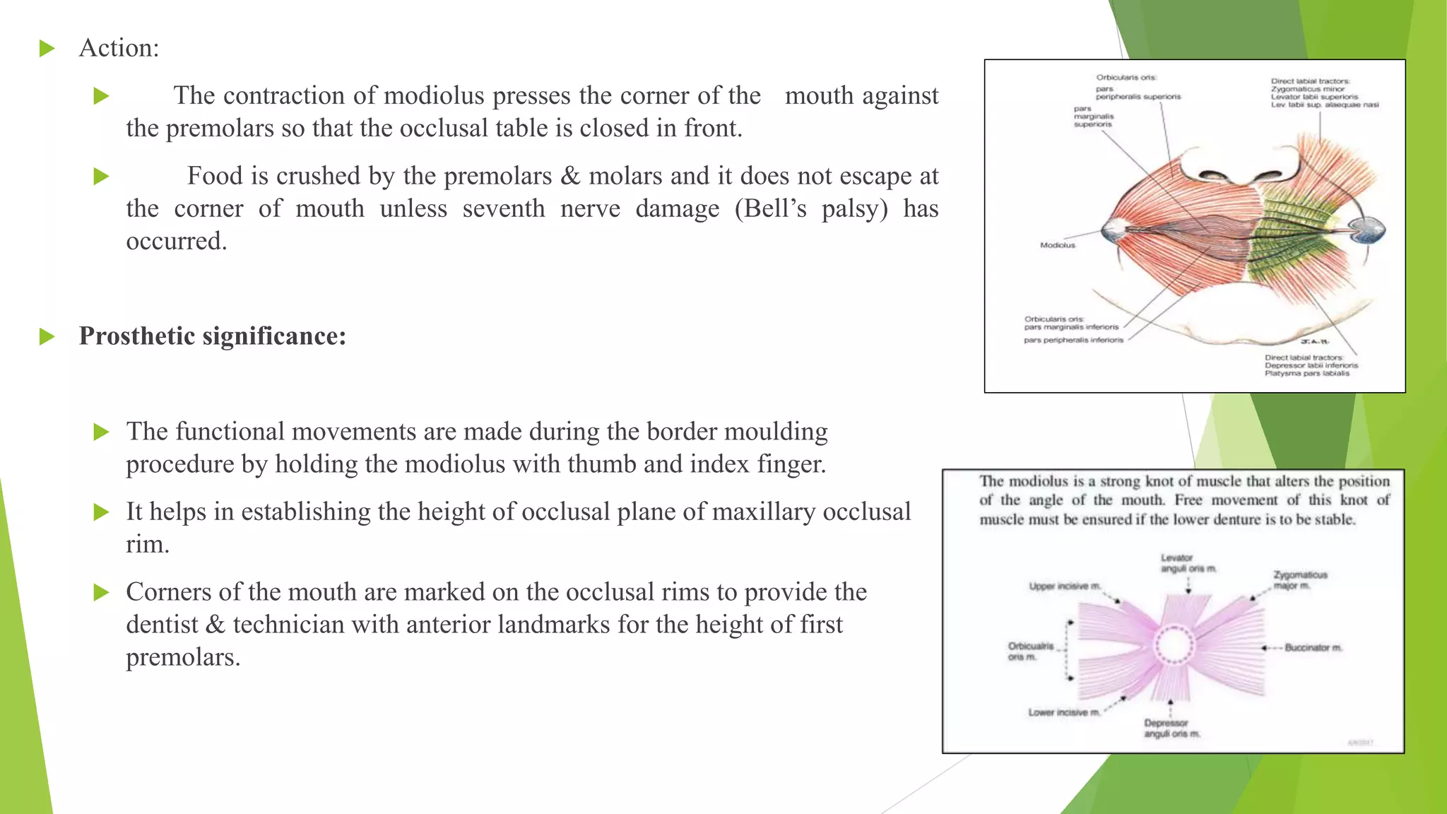 MUSCLES OF FACIAL EXPRESSIONS & PROSTHODONTIC PERSPECTIVE.pptx