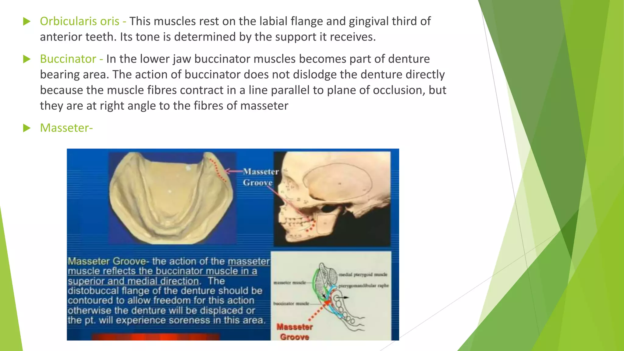 MUSCLES OF FACIAL EXPRESSIONS & PROSTHODONTIC PERSPECTIVE.pptx | Ear ...