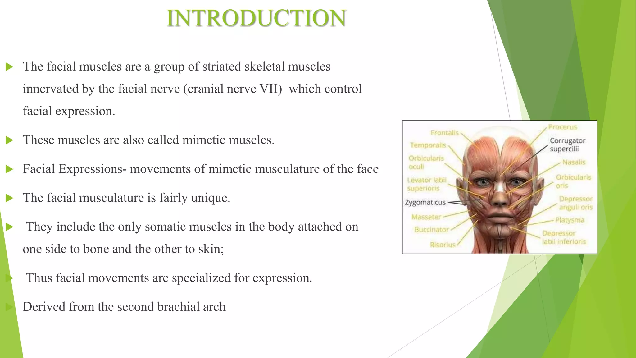MUSCLES OF FACIAL EXPRESSIONS & PROSTHODONTIC PERSPECTIVE.pptx