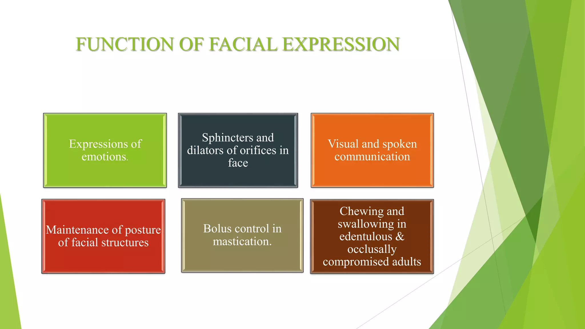 MUSCLES OF FACIAL EXPRESSIONS & PROSTHODONTIC PERSPECTIVE.pptx