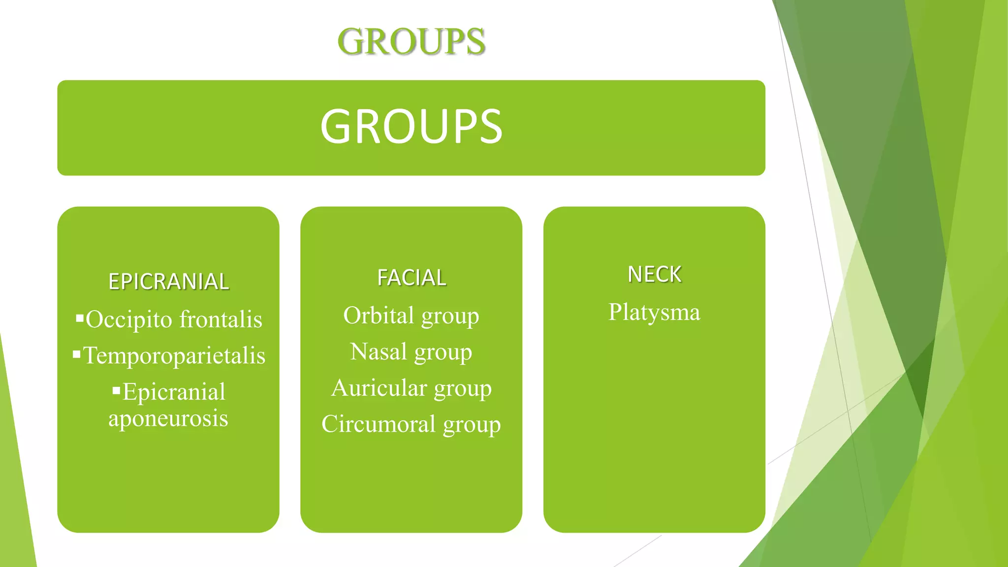MUSCLES OF FACIAL EXPRESSIONS & PROSTHODONTIC PERSPECTIVE.pptx