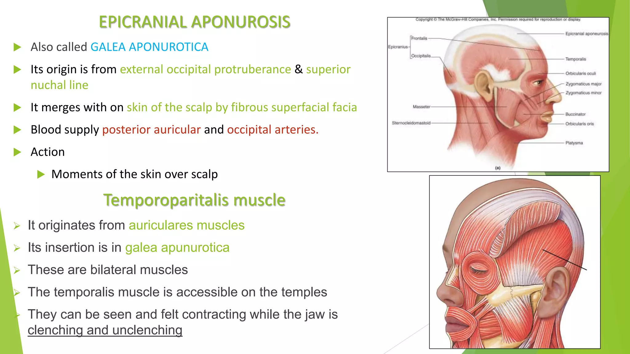 MUSCLES OF FACIAL EXPRESSIONS & PROSTHODONTIC PERSPECTIVE.pptx