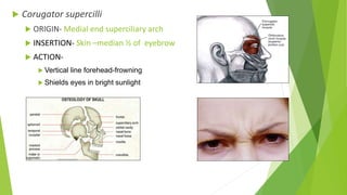 MUSCLES OF FACIAL EXPRESSIONS & PROSTHODONTIC PERSPECTIVE.pptx