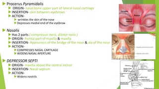 MUSCLES OF FACIAL EXPRESSIONS & PROSTHODONTIC PERSPECTIVE.pptx