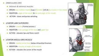MUSCLES OF FACIAL EXPRESSIONS & PROSTHODONTIC PERSPECTIVE.pptx