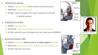 MUSCLES OF FACIAL EXPRESSIONS & PROSTHODONTIC PERSPECTIVE.pptx