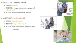 MUSCLES OF FACIAL EXPRESSIONS & PROSTHODONTIC PERSPECTIVE.pptx