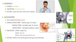 MUSCLES OF FACIAL EXPRESSIONS & PROSTHODONTIC PERSPECTIVE.pptx