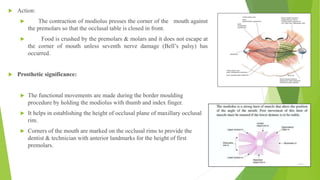 MUSCLES OF FACIAL EXPRESSIONS & PROSTHODONTIC PERSPECTIVE.pptx