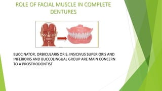 MUSCLES OF FACIAL EXPRESSIONS & PROSTHODONTIC PERSPECTIVE.pptx