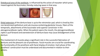 MUSCLES OF FACIAL EXPRESSIONS & PROSTHODONTIC PERSPECTIVE.pptx