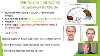 MUSCLES OF FACIAL EXPRESSIONS & PROSTHODONTIC PERSPECTIVE.pptx
