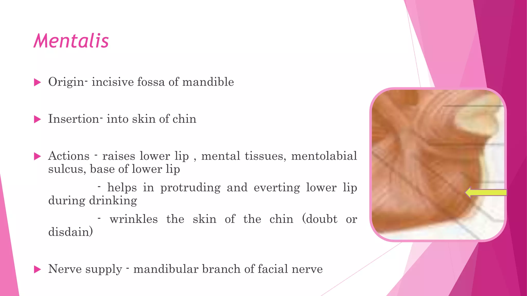 Muscles of facial expresssion | PPTX
