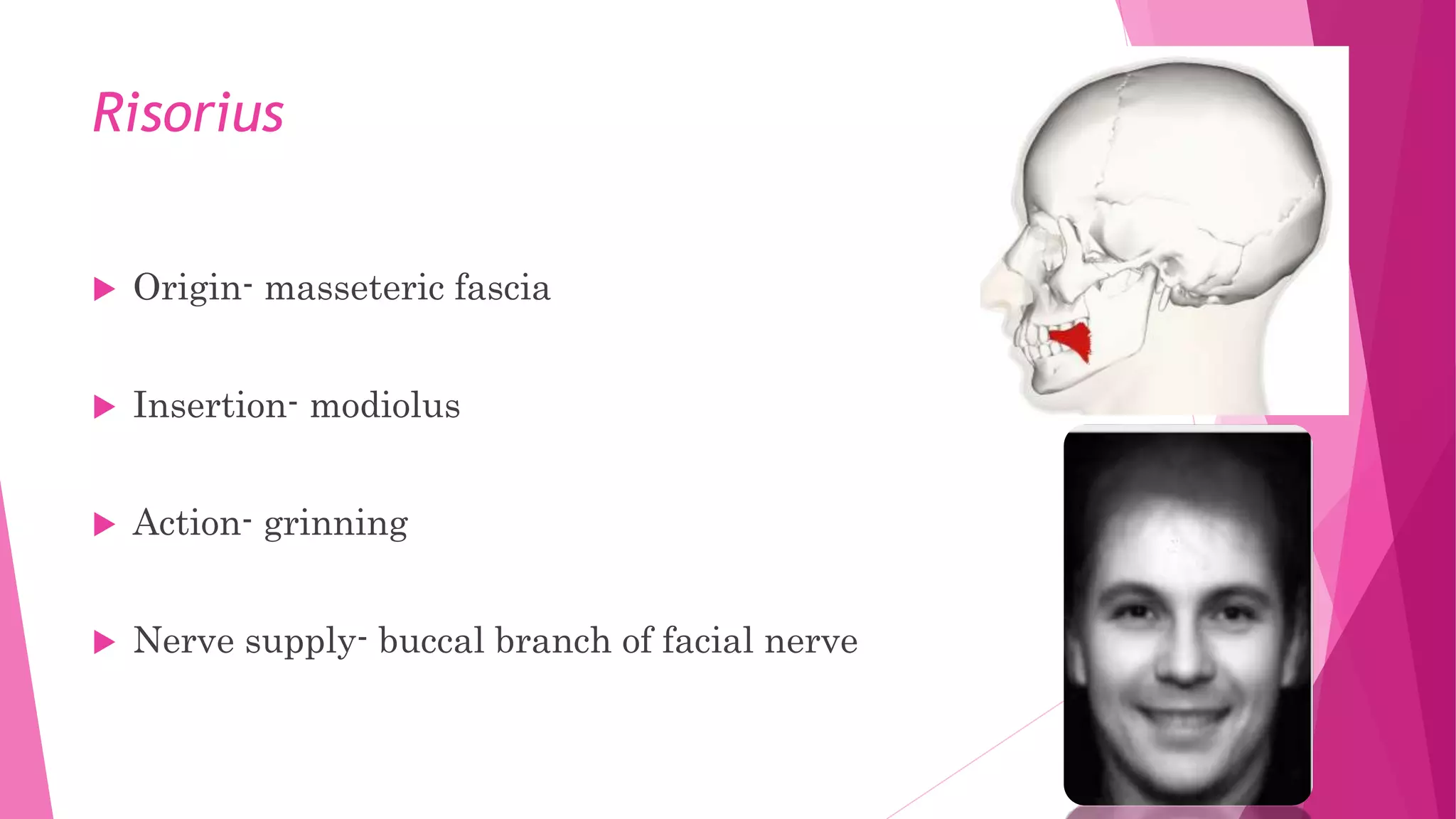 Muscles of facial expresssion | PPTX