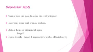 Muscles of facial expresssion | PPTX