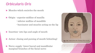 Muscles of facial expresssion | PPTX