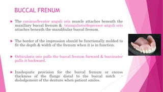 Muscles of facial expresssion | PPTX
