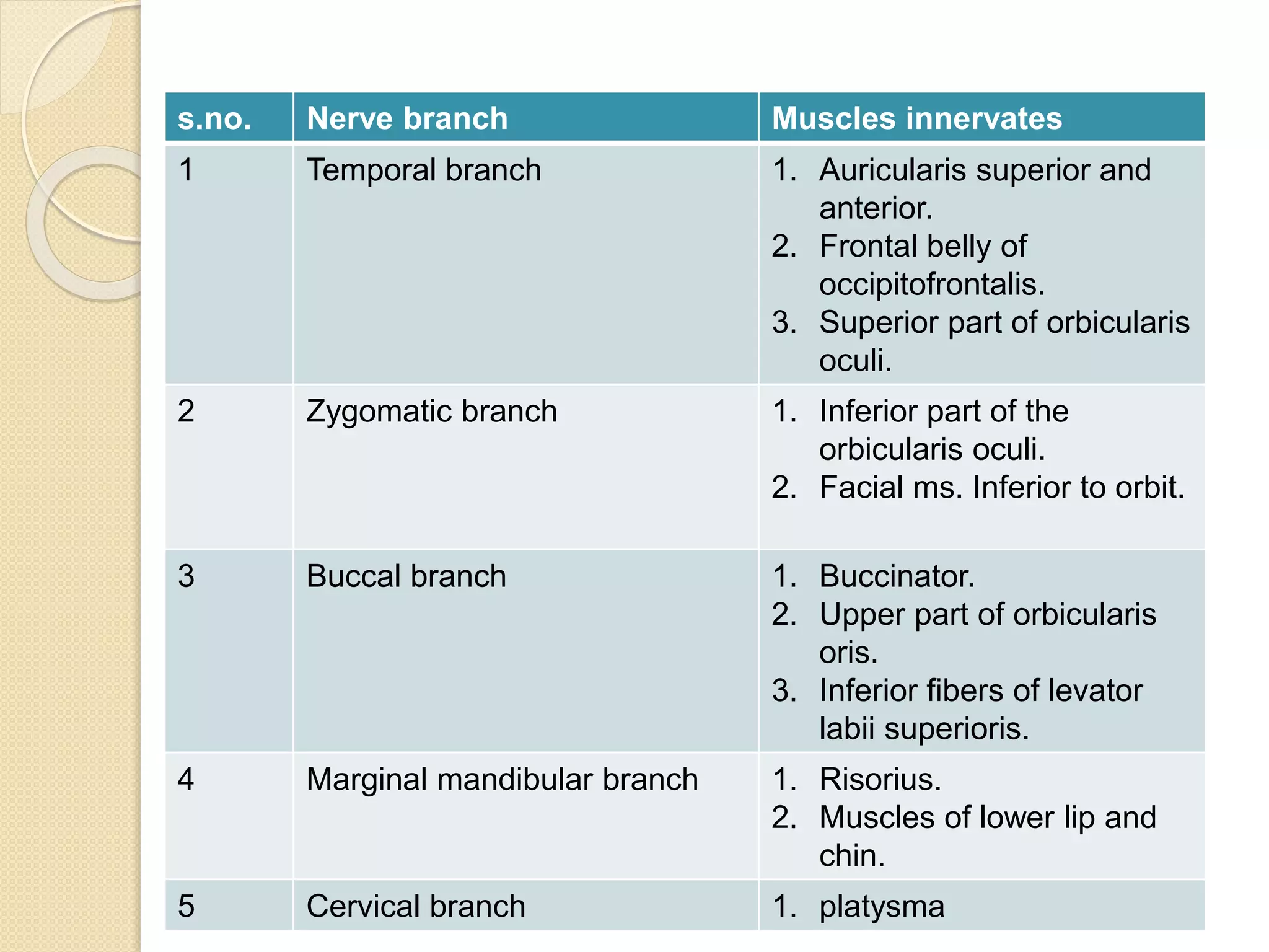 Muscles of facial expressions | PPTX