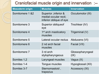 Muscles of facial expressions | PPTX