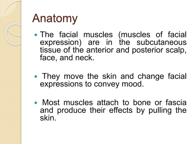 Muscles of facial expressions | PPTX | Bodybuilding | Sports