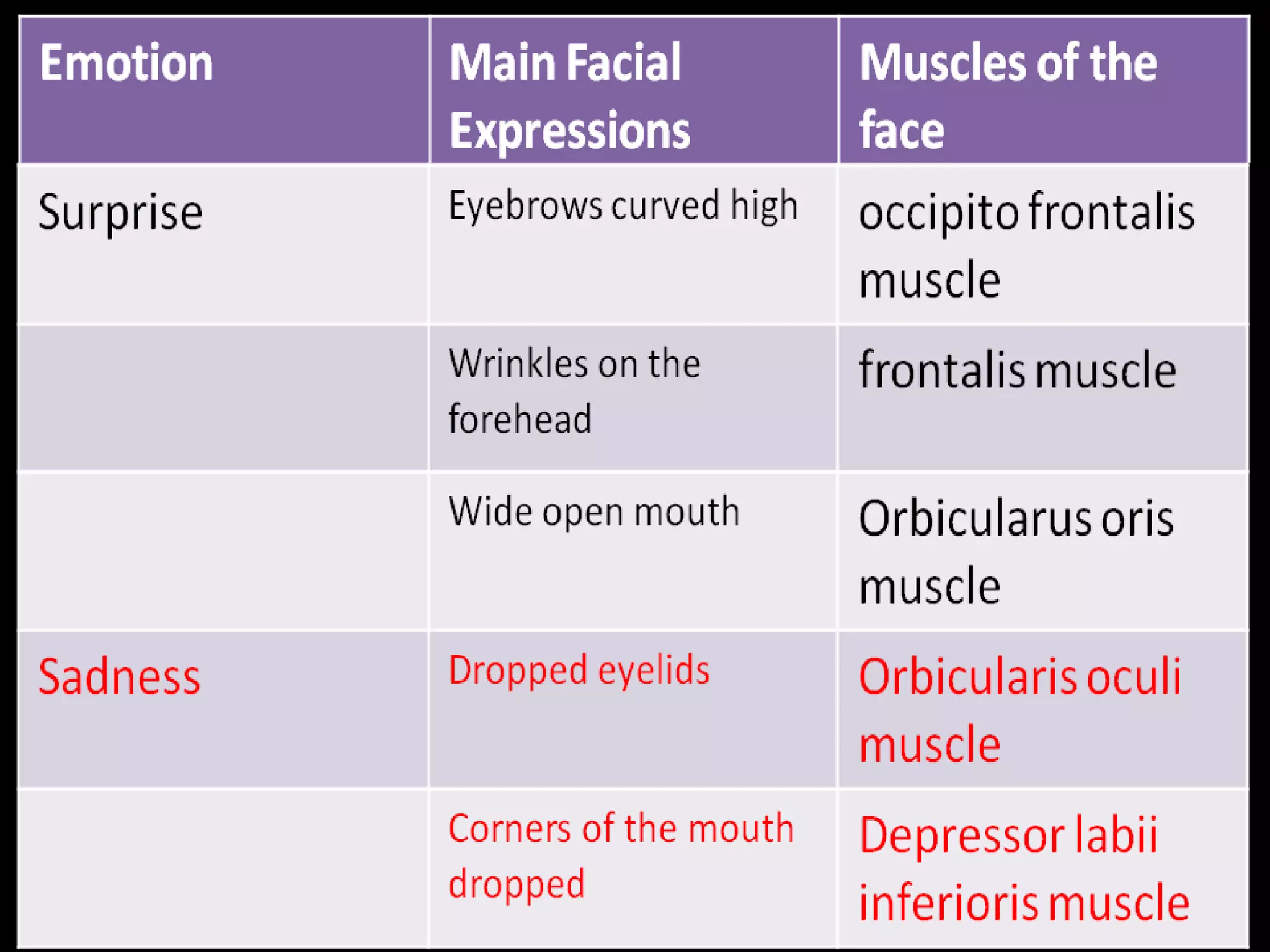 Muscles of fasical expression | PPT