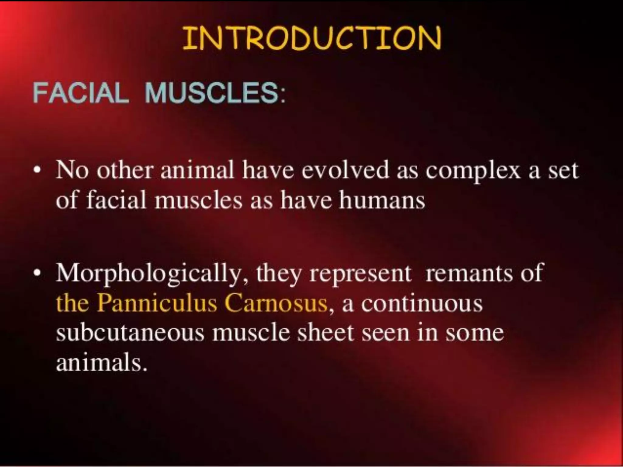 Muscles of fasical expression | PDF