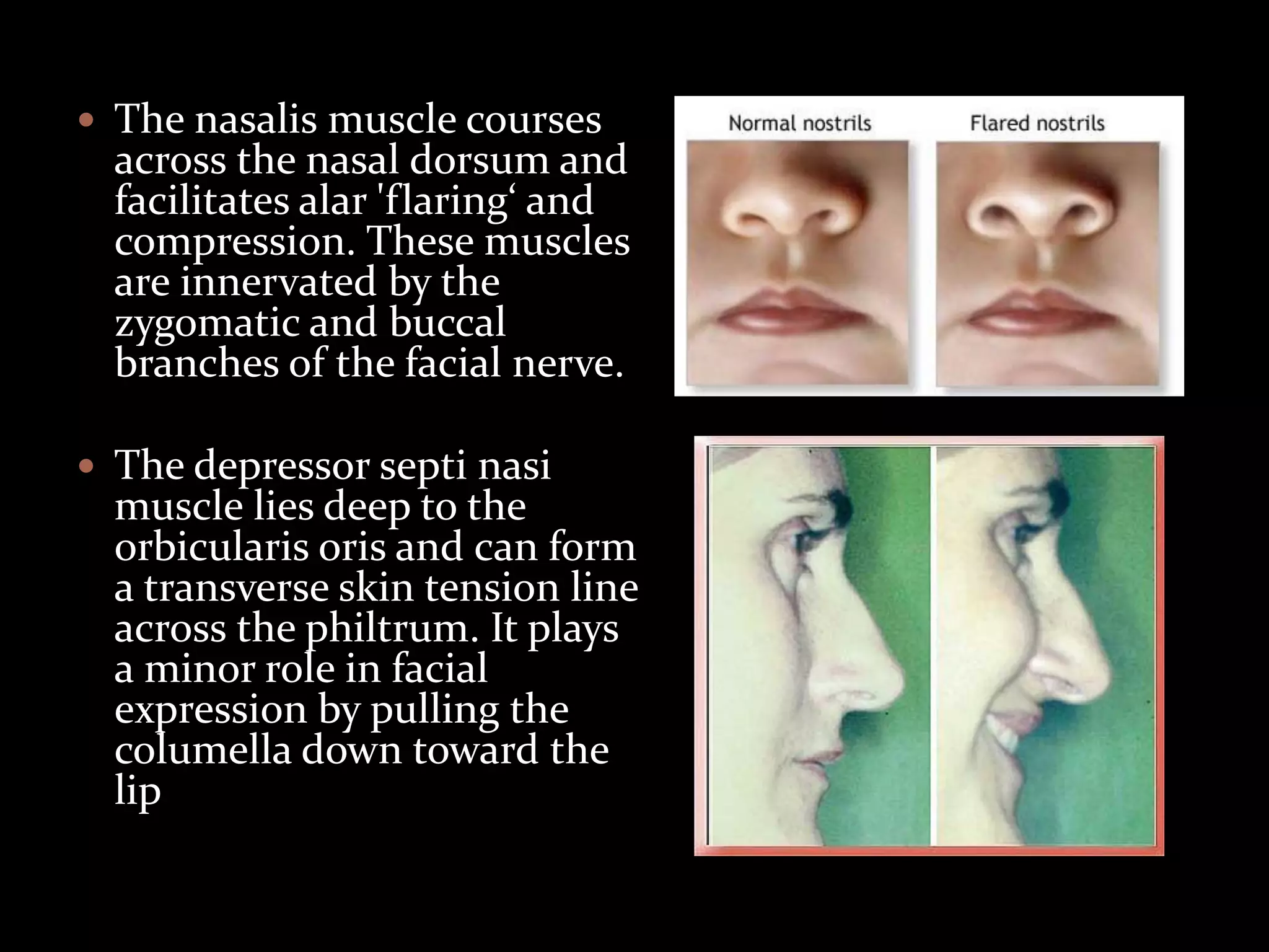 Muscles of fasical expression | PDF