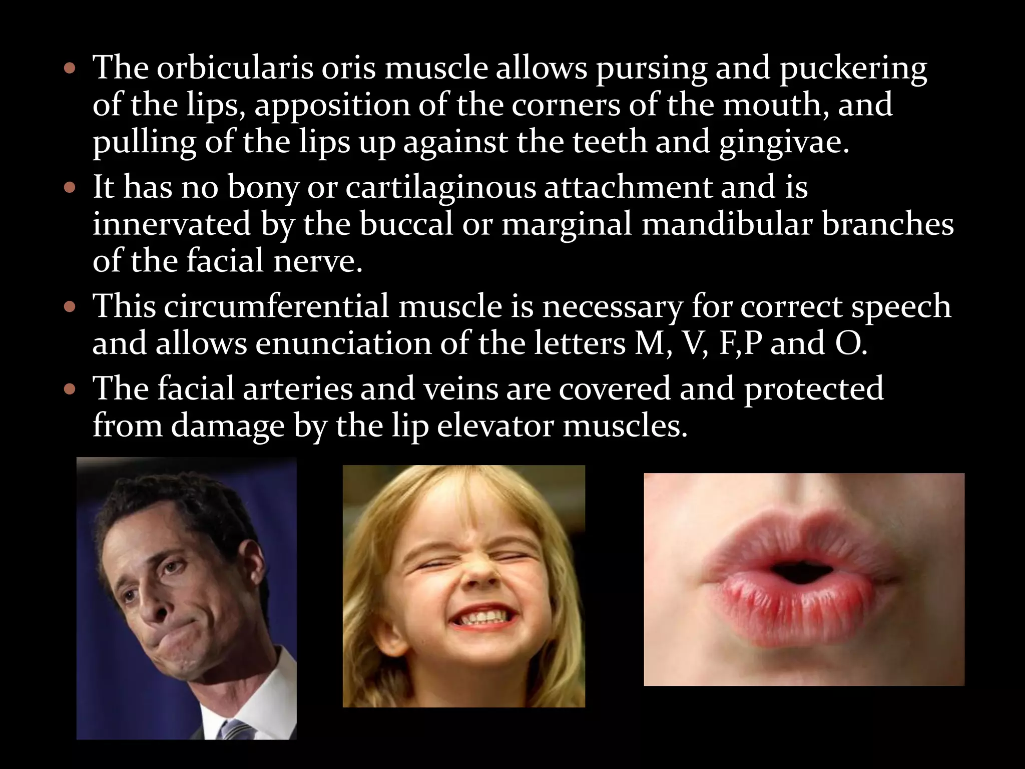 Muscles of fasical expression | PDF