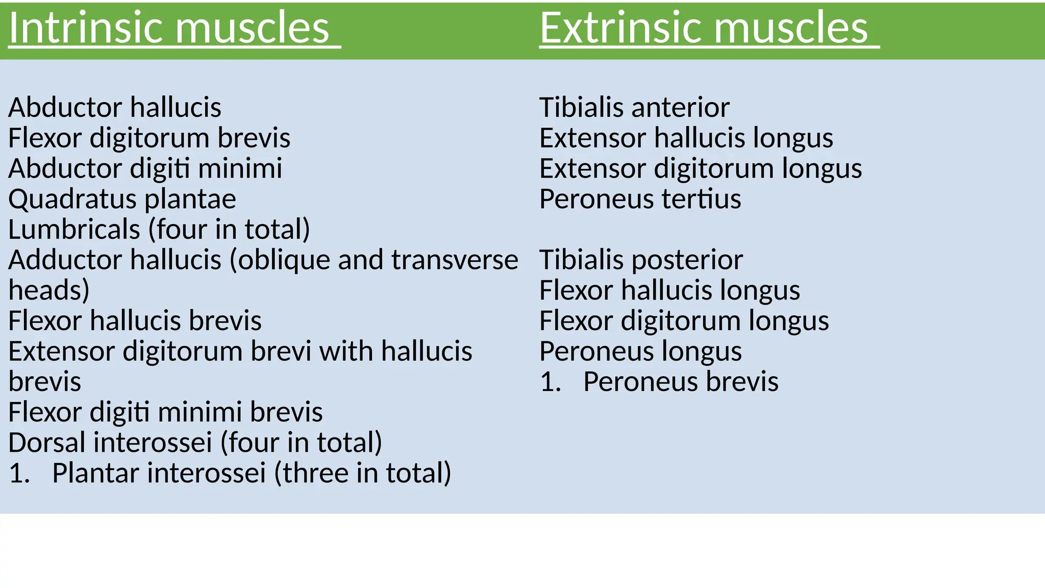 Extrinsic and Intrinsic Muscles of Foot.pptx
