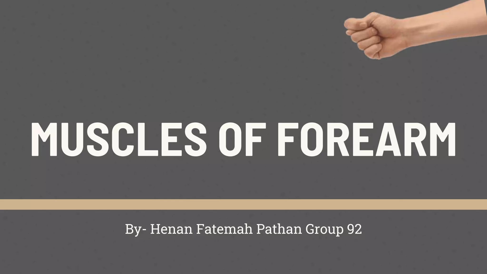 Muscles of Forearm | PPTX