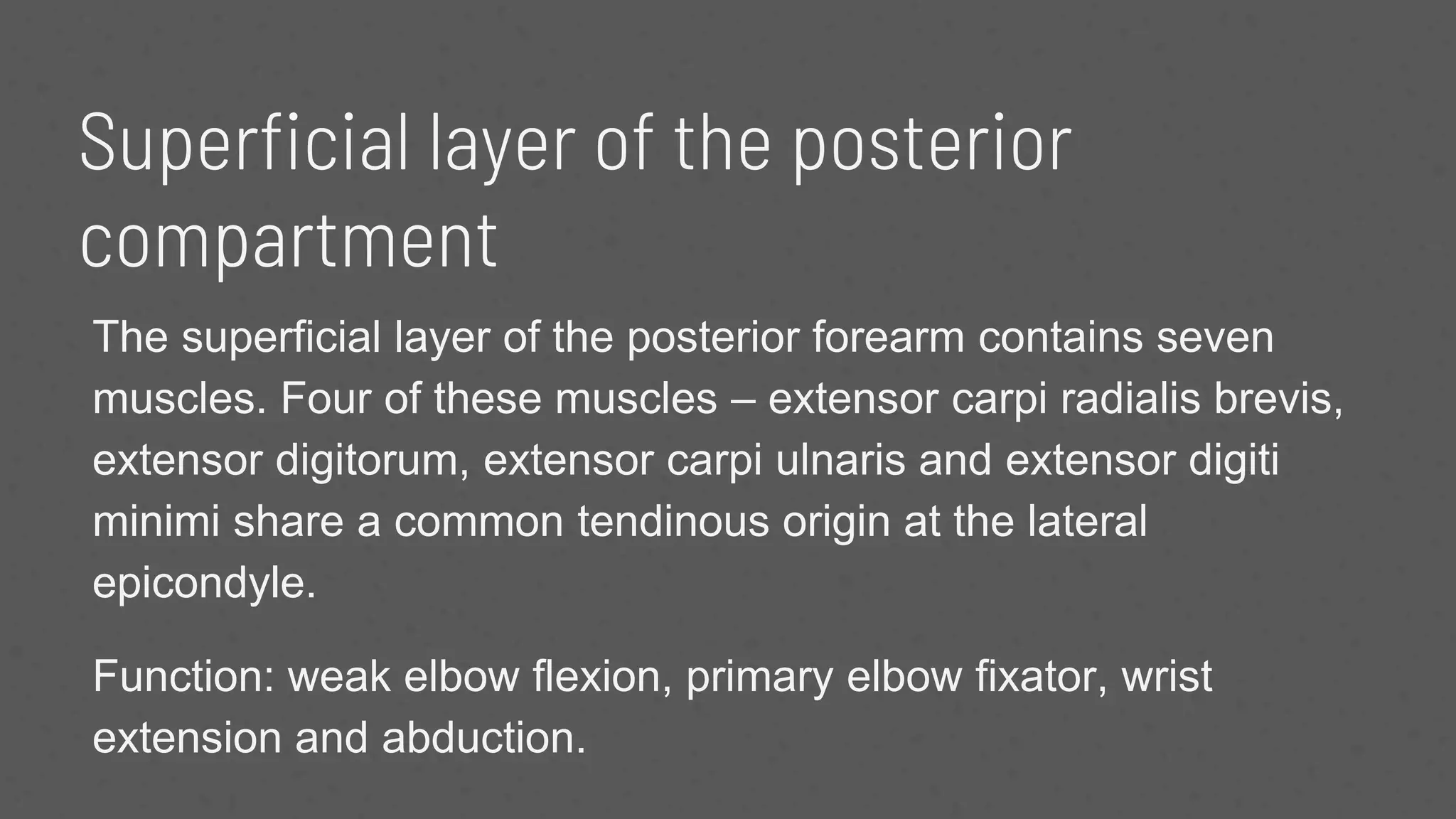 Muscles of Forearm | PPTX