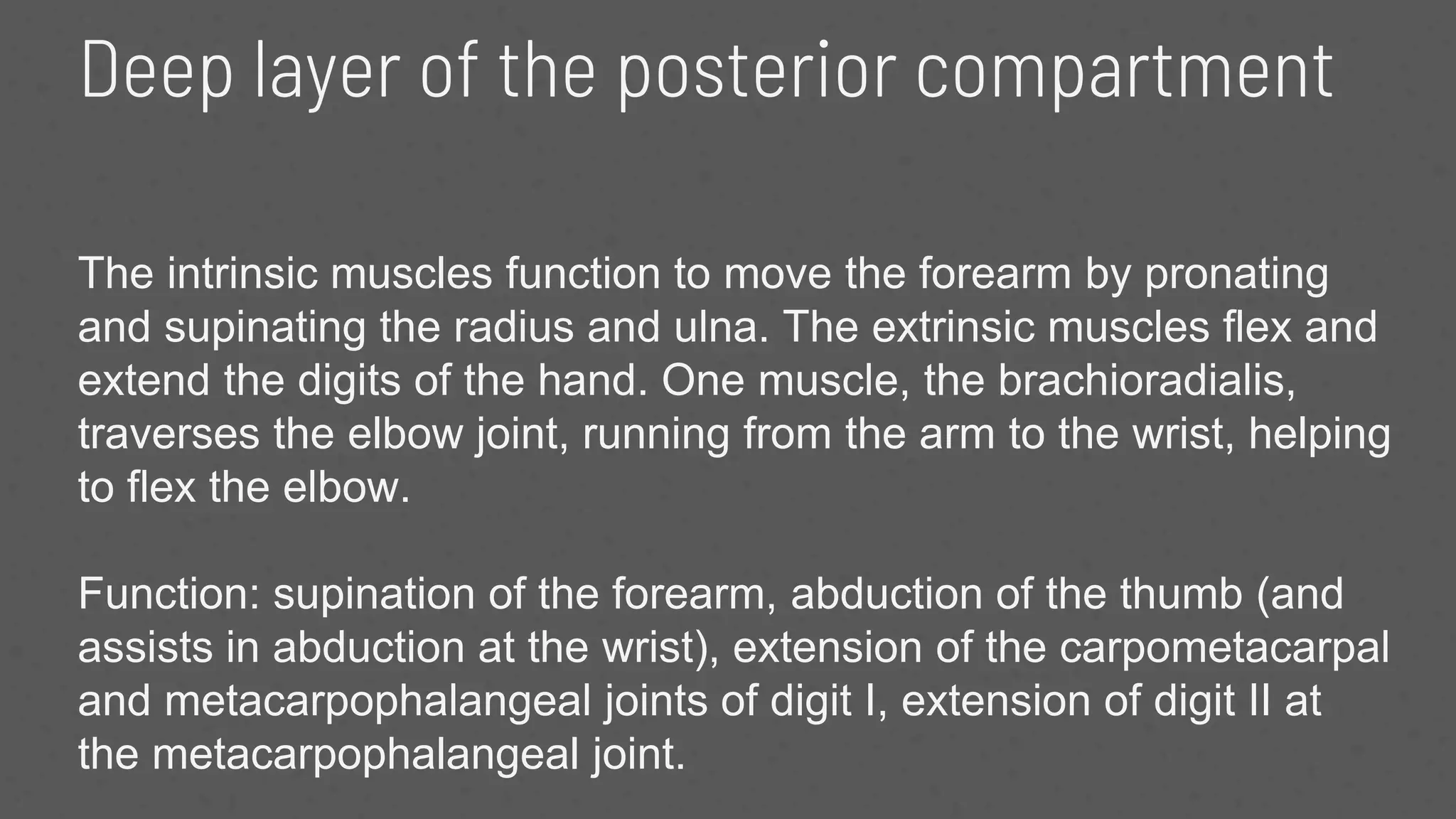Muscles of Forearm | PPTX