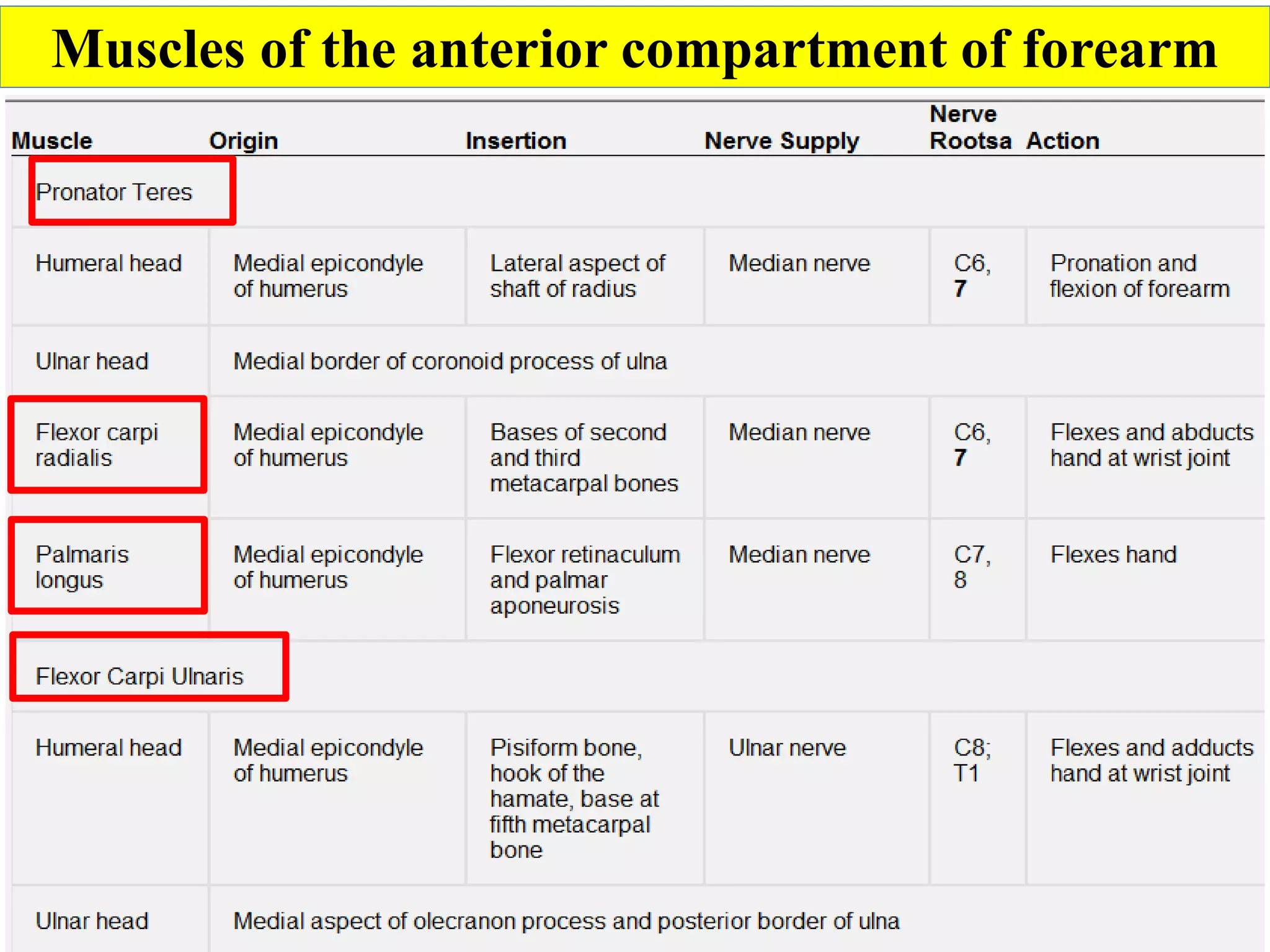 Muscles of Forearm.pptx