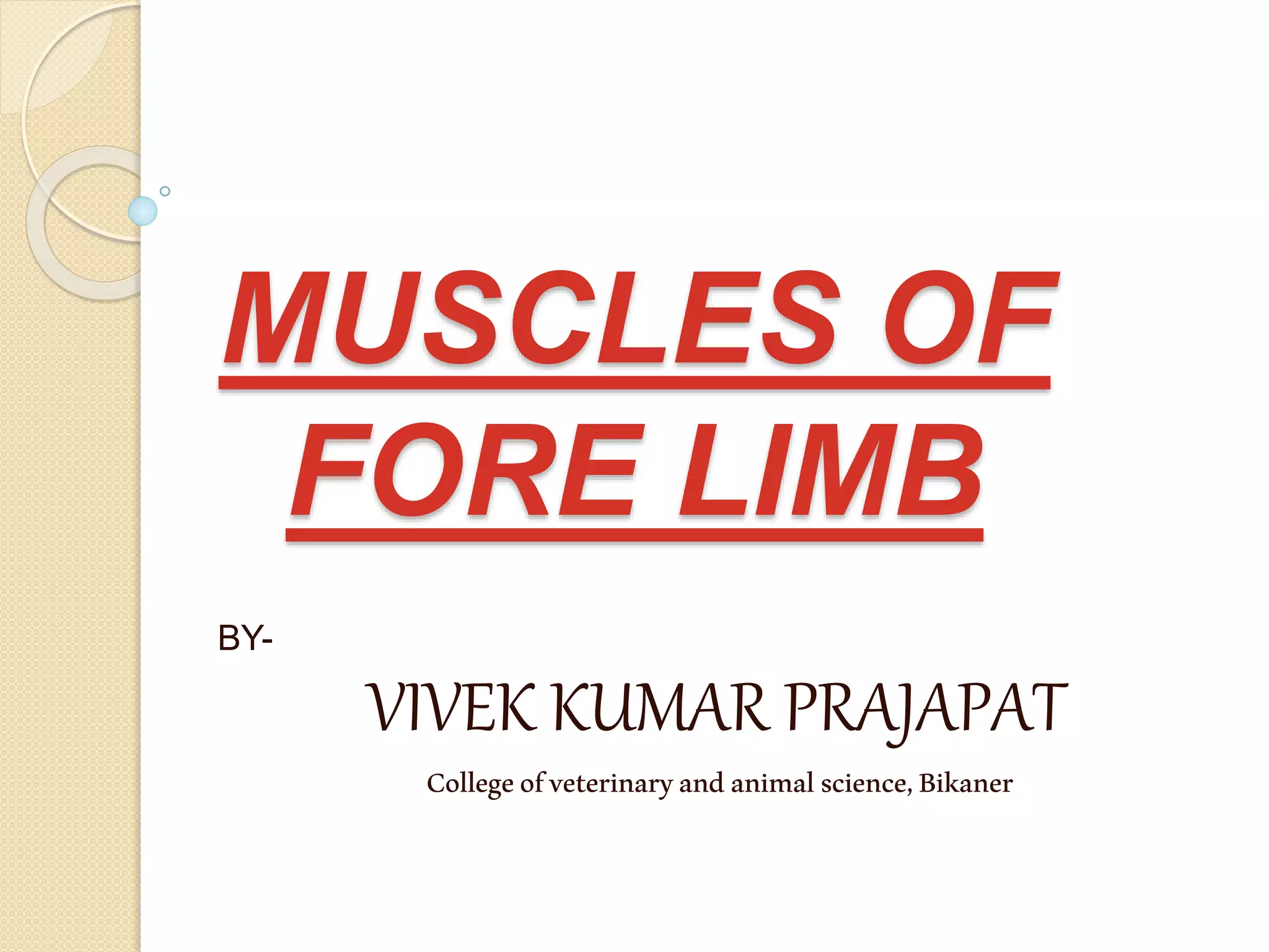 Muscles Of Fore Limb Of Cattle | PPTX
