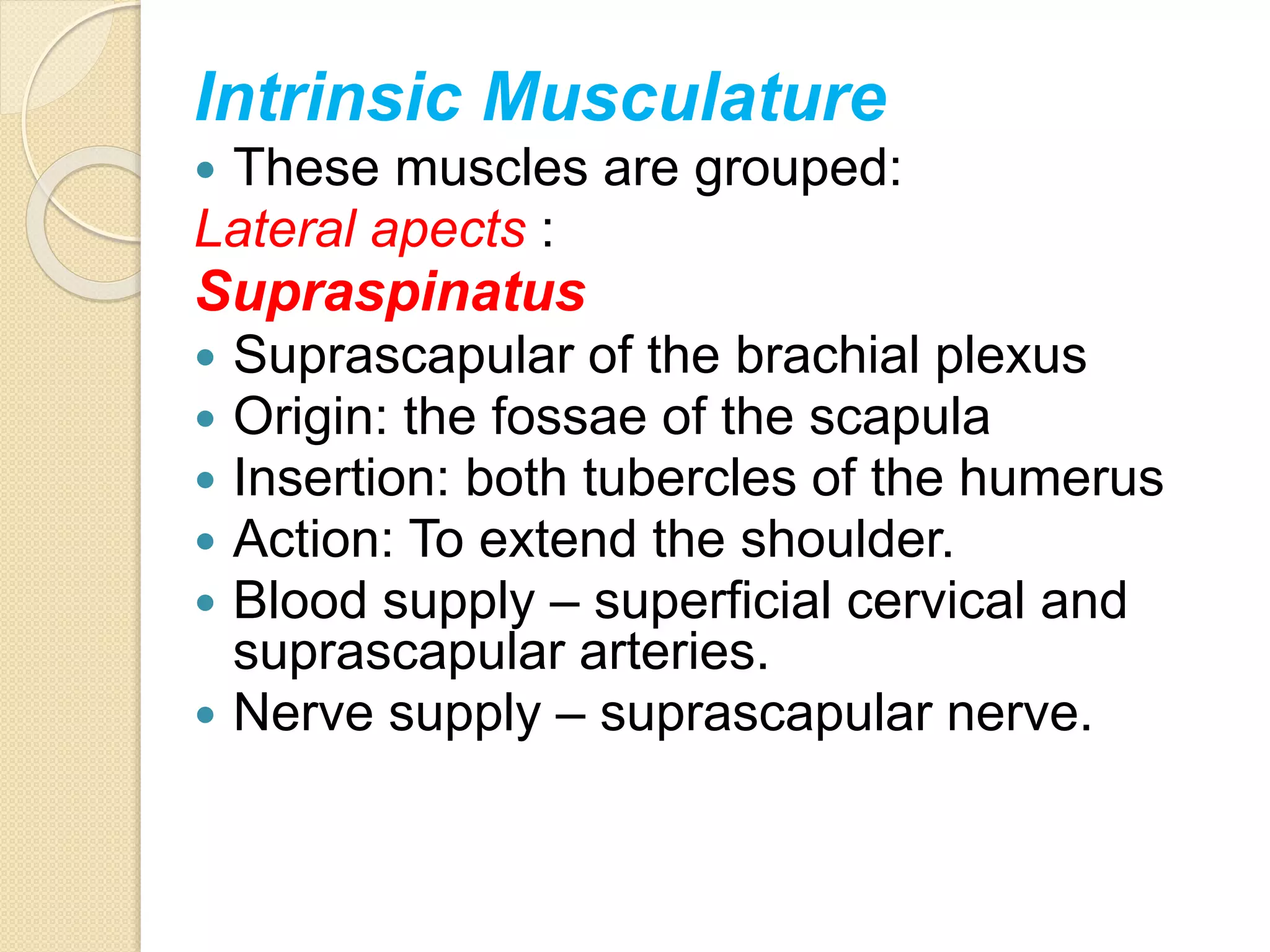 Muscles Of Fore Limb Of Cattle | PPTX