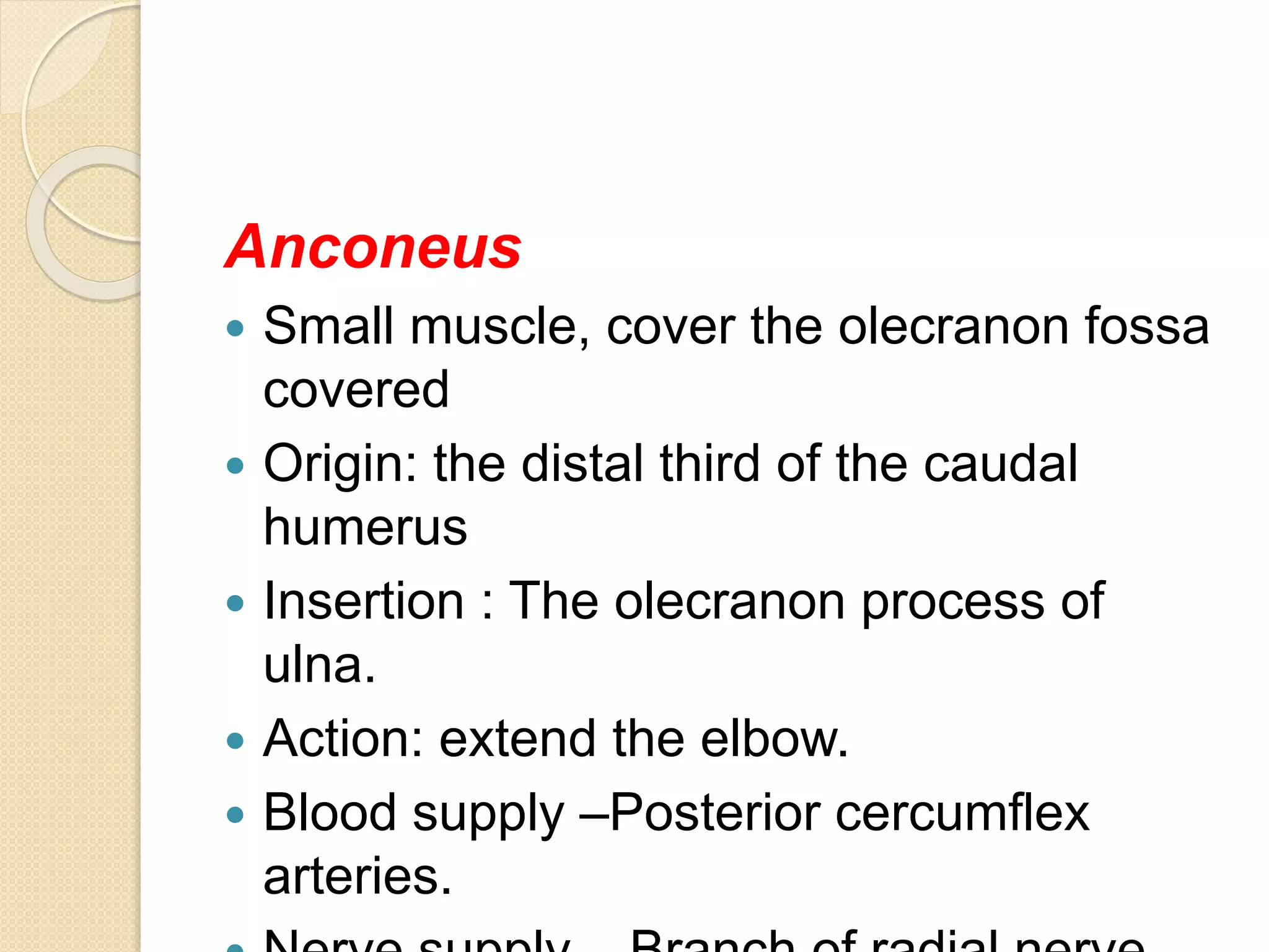 Muscles Of Fore Limb Of Cattle | PPTX