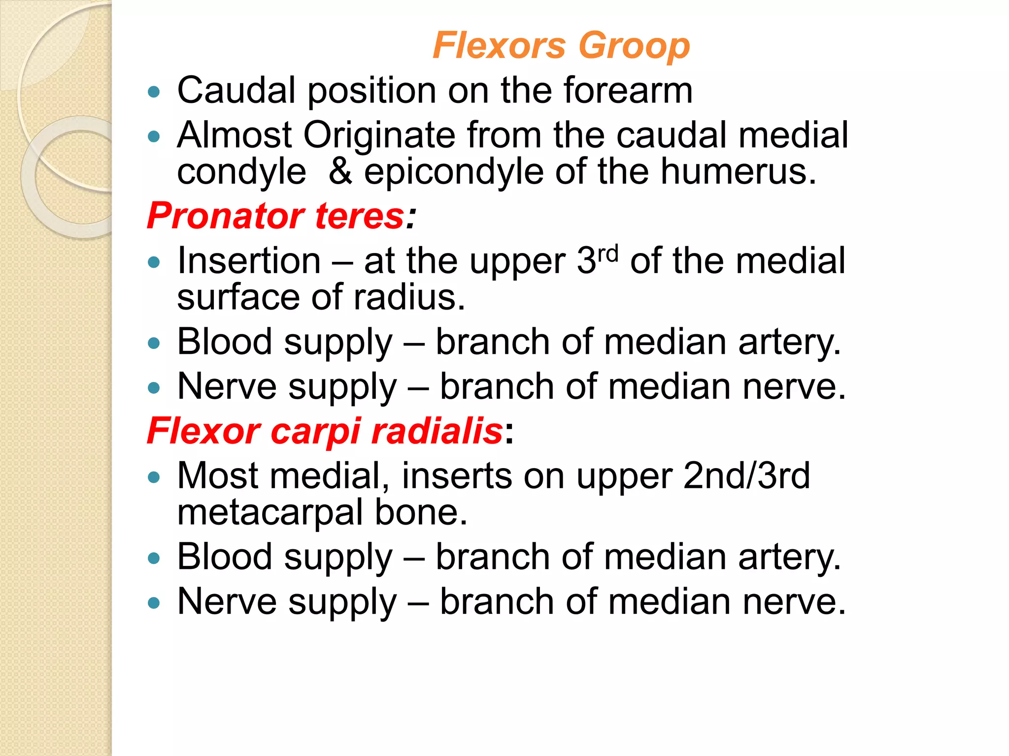 Muscles Of Fore Limb Of Cattle | PPTX