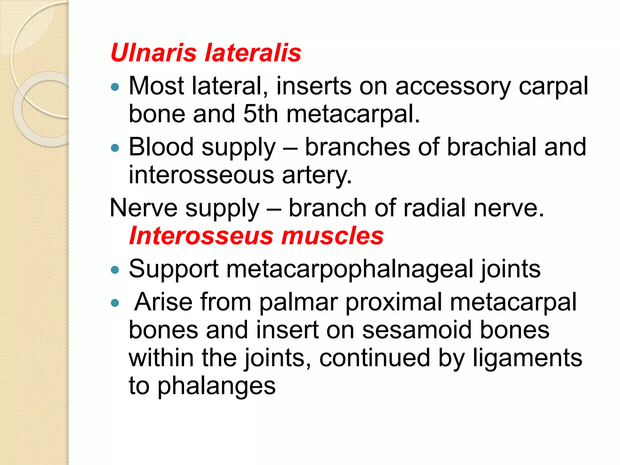 Muscles Of Fore Limb Of Cattle | PPTX